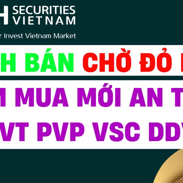DDV - CTCP DAP - VINACHEM