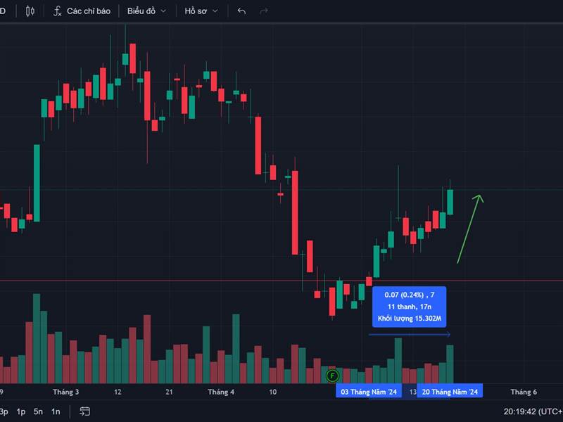 ANV - diamond bottom