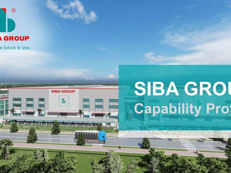 SBG: Siba Group giải thể công ty Năng lượng sạch Vmeco Đồng Tháp