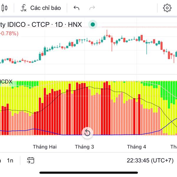 IDC - Tổng công ty IDICO - CTCP