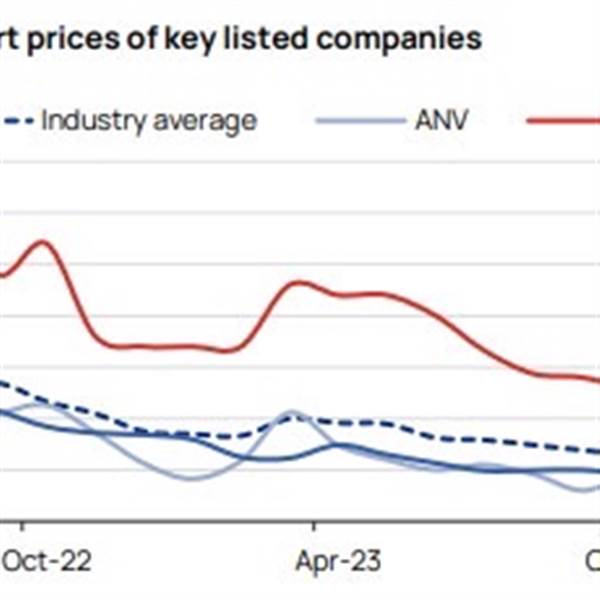 ANV - CTCP Nam Việt