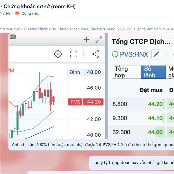 ANV - CTCP Nam Việt