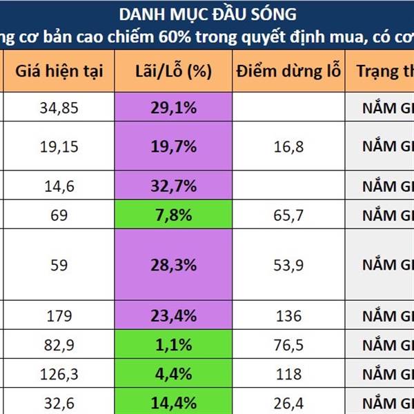 ANV - CTCP Nam Việt