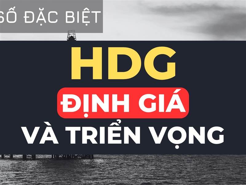 Phân tích cổ phiếu HDG: Triển vọng và định giá ht...