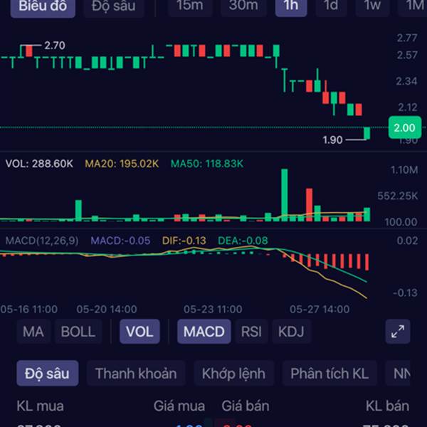 LCM - CTCP Khai thác và Chế biến Khoáng sản Lào Cai
