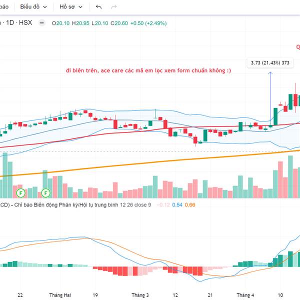 REE - CTCP Cơ điện lạnh