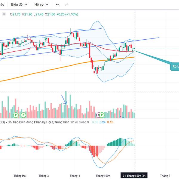 REE - CTCP Cơ điện lạnh