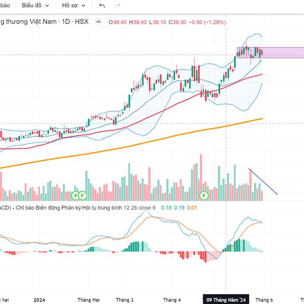 REE - CTCP Cơ điện lạnh