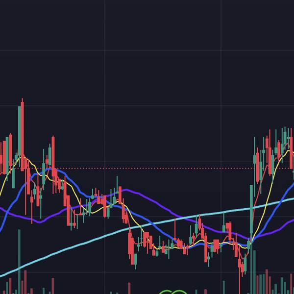 NT2 - CTCP Điện lực Dầu khí Nhơn Trạch 2