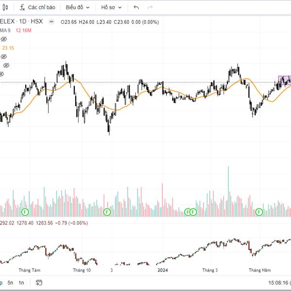 EVF - Công ty Tài chính Cổ phần Điện lực