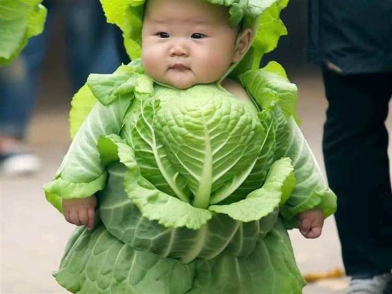 NHỊP ĐẬP LUÂN PHIÊN - VƯỢT ĐỈNH 1300 ? Thế Giới: