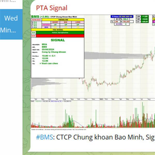 BMS - CTCP Chứng khoán Bảo Minh