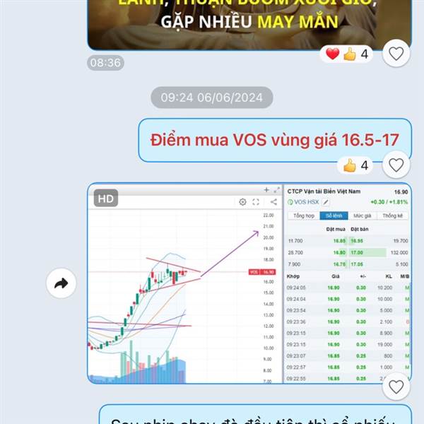 VOS - CTCP Vận tải Biển Việt Nam