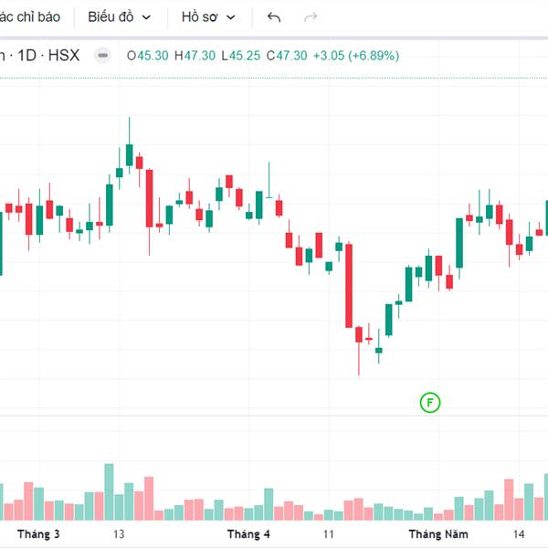 VOS - CTCP Vận tải Biển Việt Nam