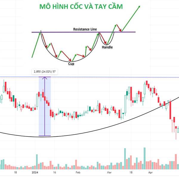 VGS - CTCP Ống thép Việt - Đức VG PIPE