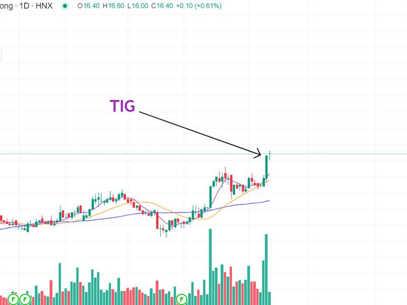 SIÊU CỔ PHIẾU TIG! - TIG sau quá trình tích lũy ...