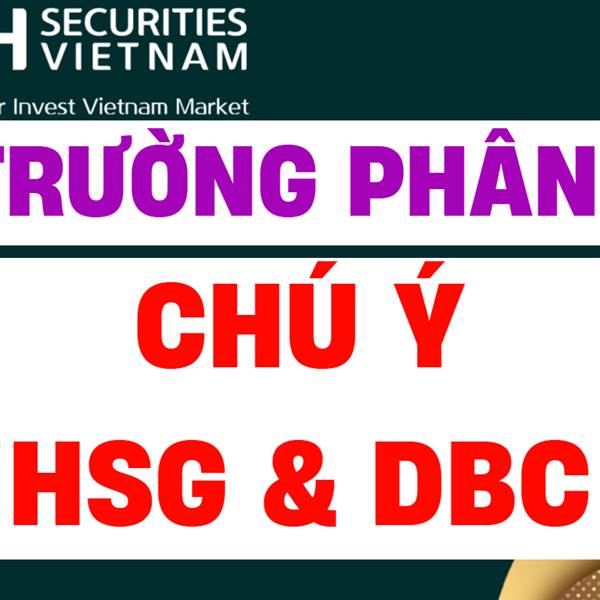 VGS - CTCP Ống thép Việt - Đức VG PIPE