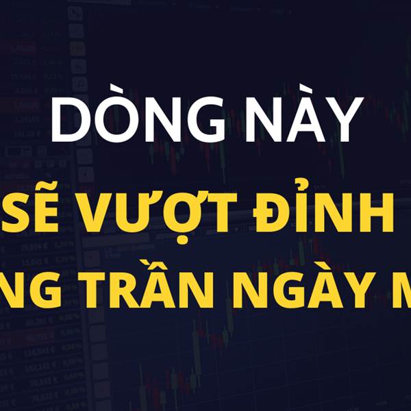 QCG - CTCP Quốc Cường - Gia Lai