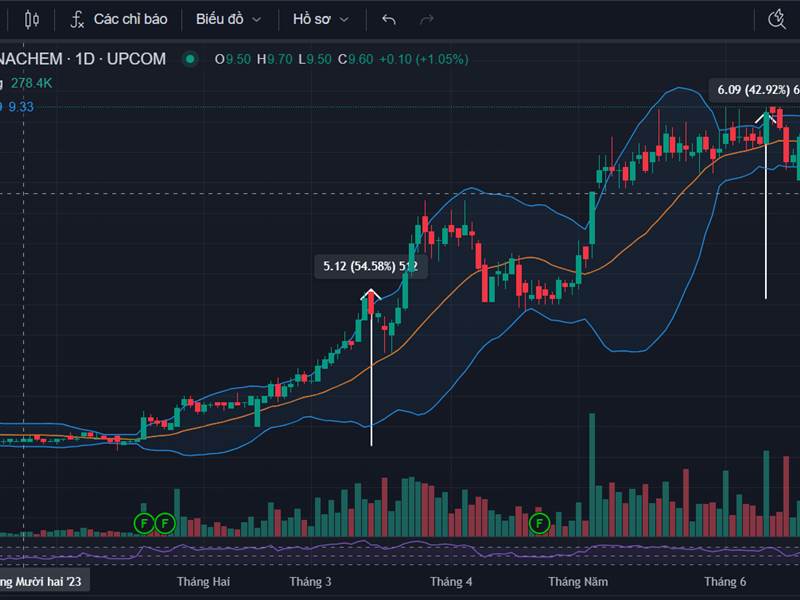 DDV TĂNG TRƯỞNG 100% TỪ ĐẦU NĂM 2024 LIỆU CÒN CƠ H...