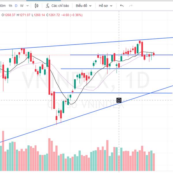 CEO - CTCP Tập đoàn C.E.O