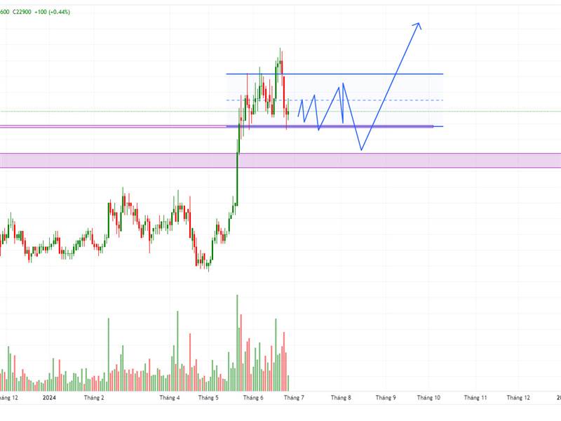 BSR 50% lãi có thể cầm và chờ TR 22-24x. T+ chờ Sp...