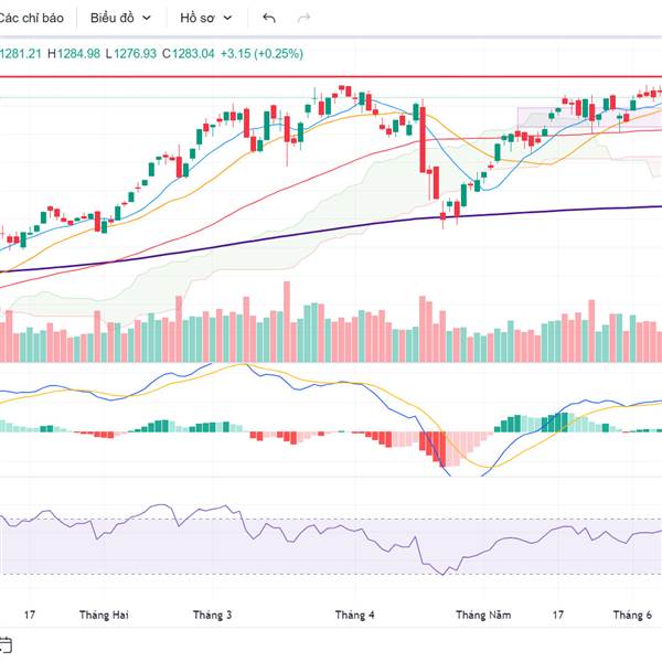 CEO - CTCP Tập đoàn C.E.O