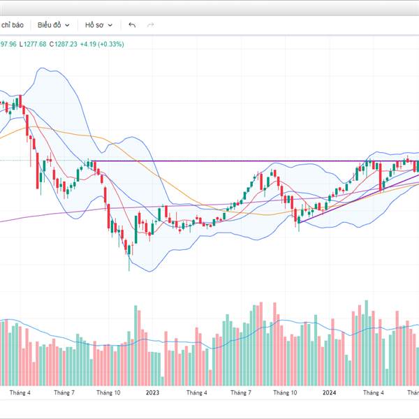 PVP - CTCP Vận tải Dầu khí Thái Bình Dương