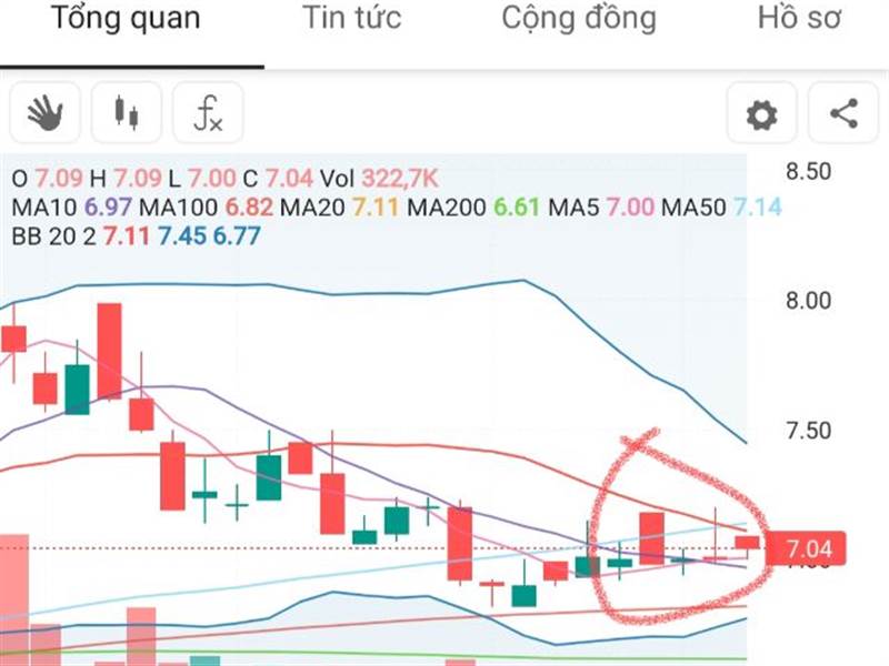Lái VND với SAM là 1