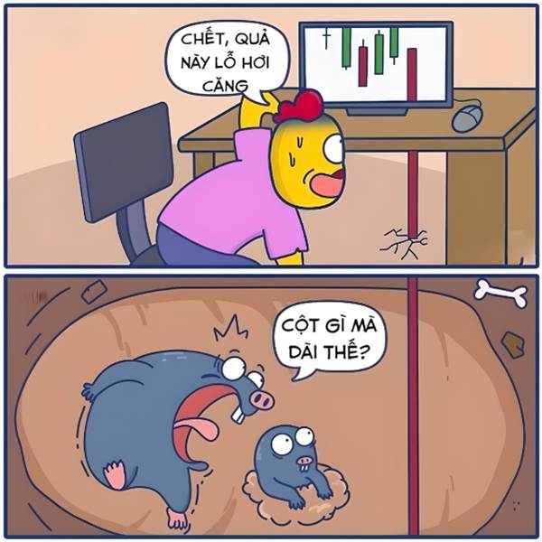 QCG - CTCP Quốc Cường - Gia Lai