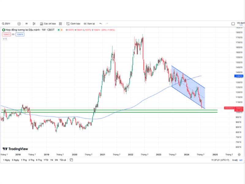 🌿 🌿 ĐẬU TƯƠNG CBOT ZSEX24 👉TIN TỨC VĨ MÔ USDA ...