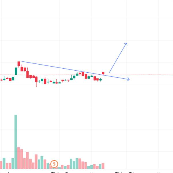 VTO - CTCP Vận tải Xăng dầu Vitaco