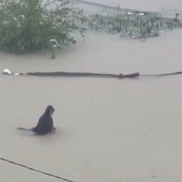 VC7 - CTCP Tập đoàn BGI