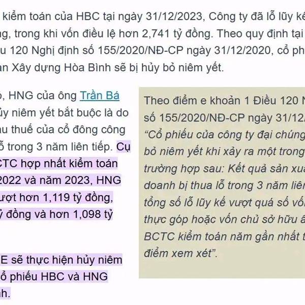 HNG - CTCP Nông nghiệp Quốc tế Hoàng Anh Gia Lai