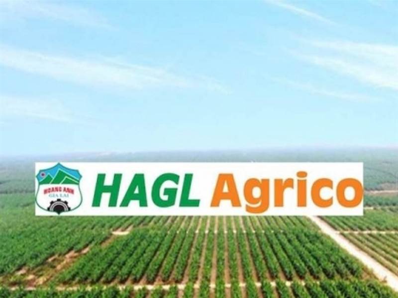 HNG: HAGL Agrico đặt mục tiêu lợi nhuận năm 2028 đạt 2.450 tỷ đồng