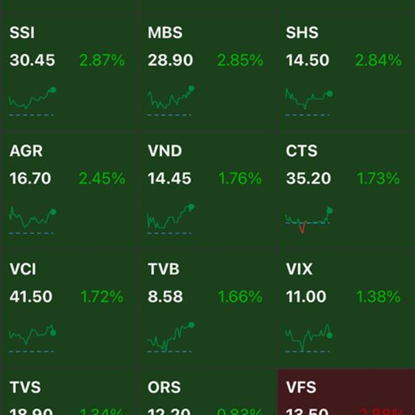 VFS - CTCP Chứng khoán Nhất Việt