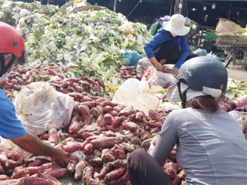 'Lên đời' cho thực phẩm bẩn: 'Hô biến' rác thành... rau nhà trồng