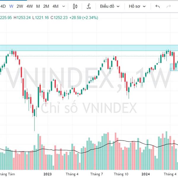 ANV - CTCP Nam Việt