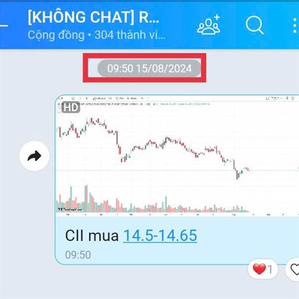 CII - CTCP Đầu tư Hạ tầng Kỹ thuật Thành phố Hồ Chí Minh