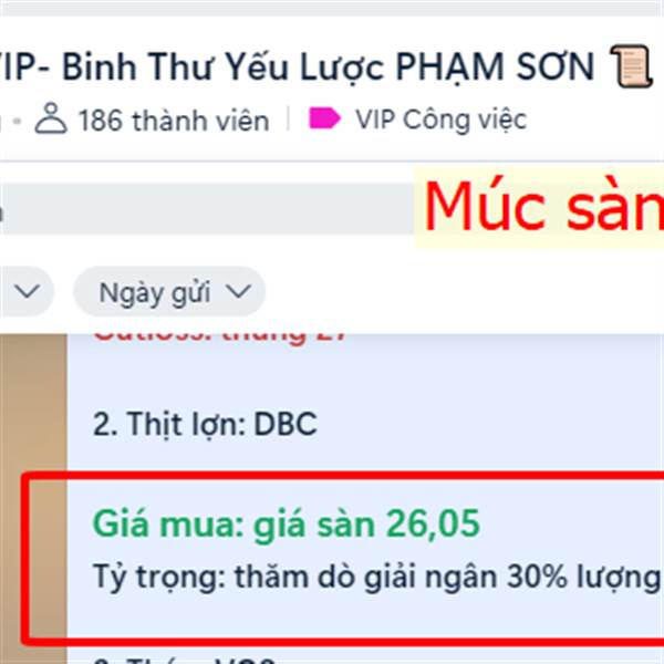 VGS - CTCP Ống thép Việt - Đức VG PIPE