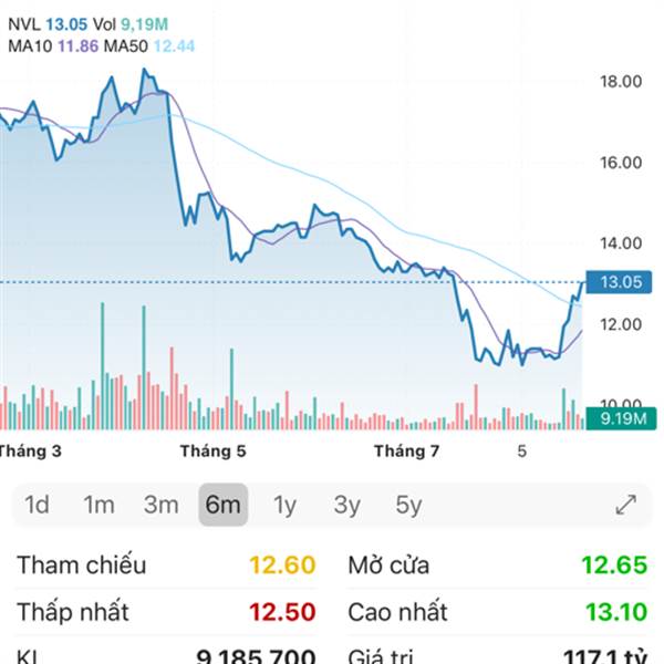 DXS - CTCP Dịch vụ Bất động sản Đất Xanh