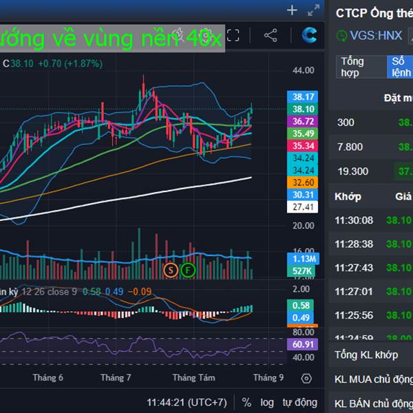 VGS - CTCP Ống thép Việt - Đức VG PIPE