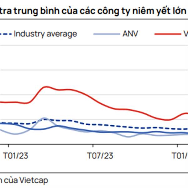 ANV - CTCP Nam Việt