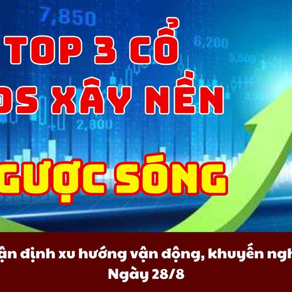 CEO - CTCP Tập đoàn C.E.O