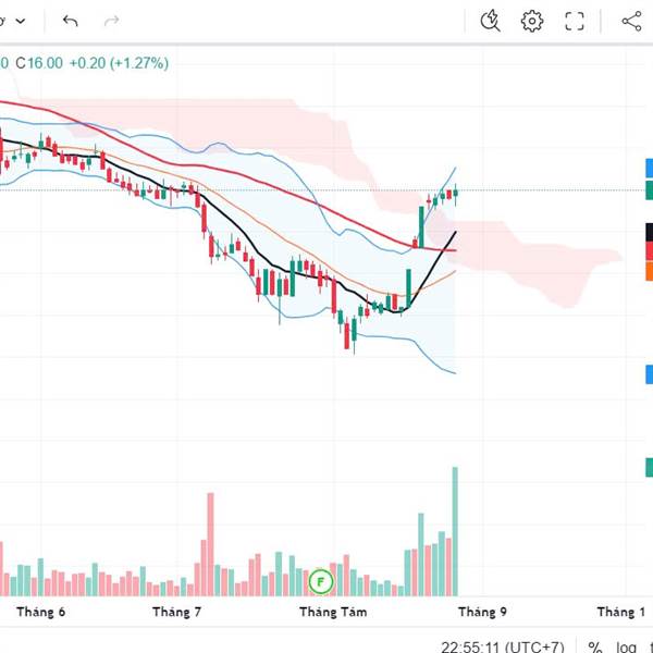 CEO - CTCP Tập đoàn C.E.O