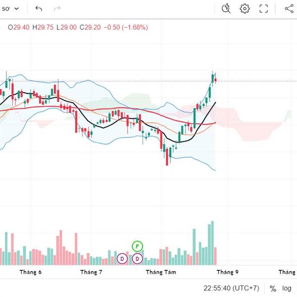 CEO - CTCP Tập đoàn C.E.O