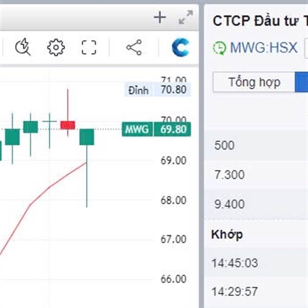 CEO - CTCP Tập đoàn C.E.O