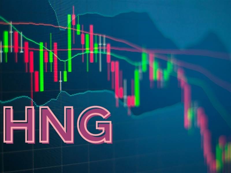 Cổ phiếu HNG ‘tím lịm’ trong phiên giao dịch đặc biệt