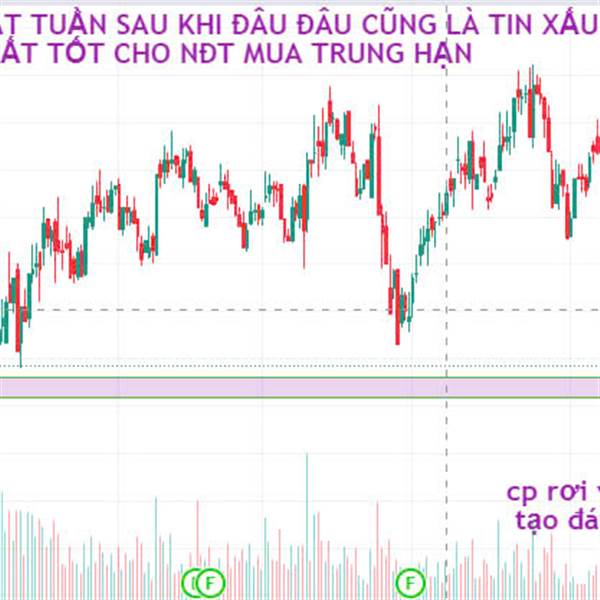 VGS - CTCP Ống thép Việt - Đức VG PIPE