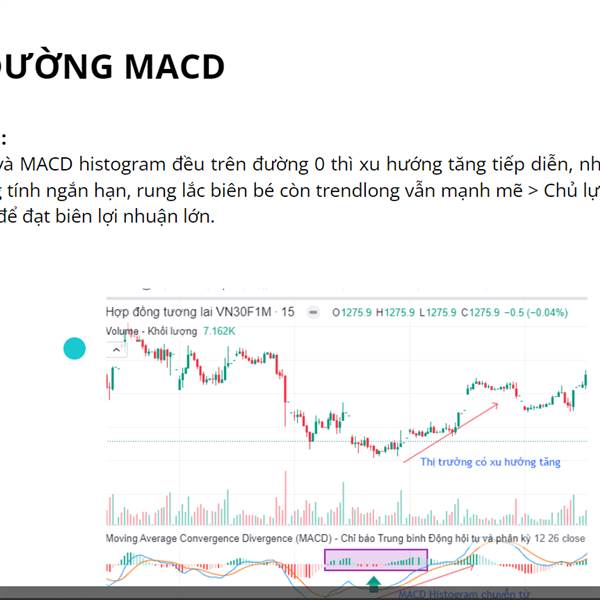 HNG - CTCP Nông nghiệp Quốc tế Hoàng Anh Gia Lai
