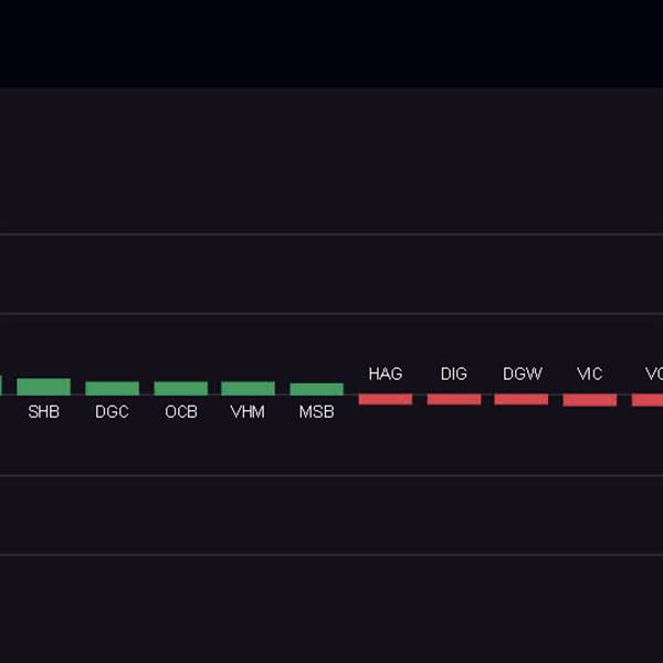 ANV - CTCP Nam Việt